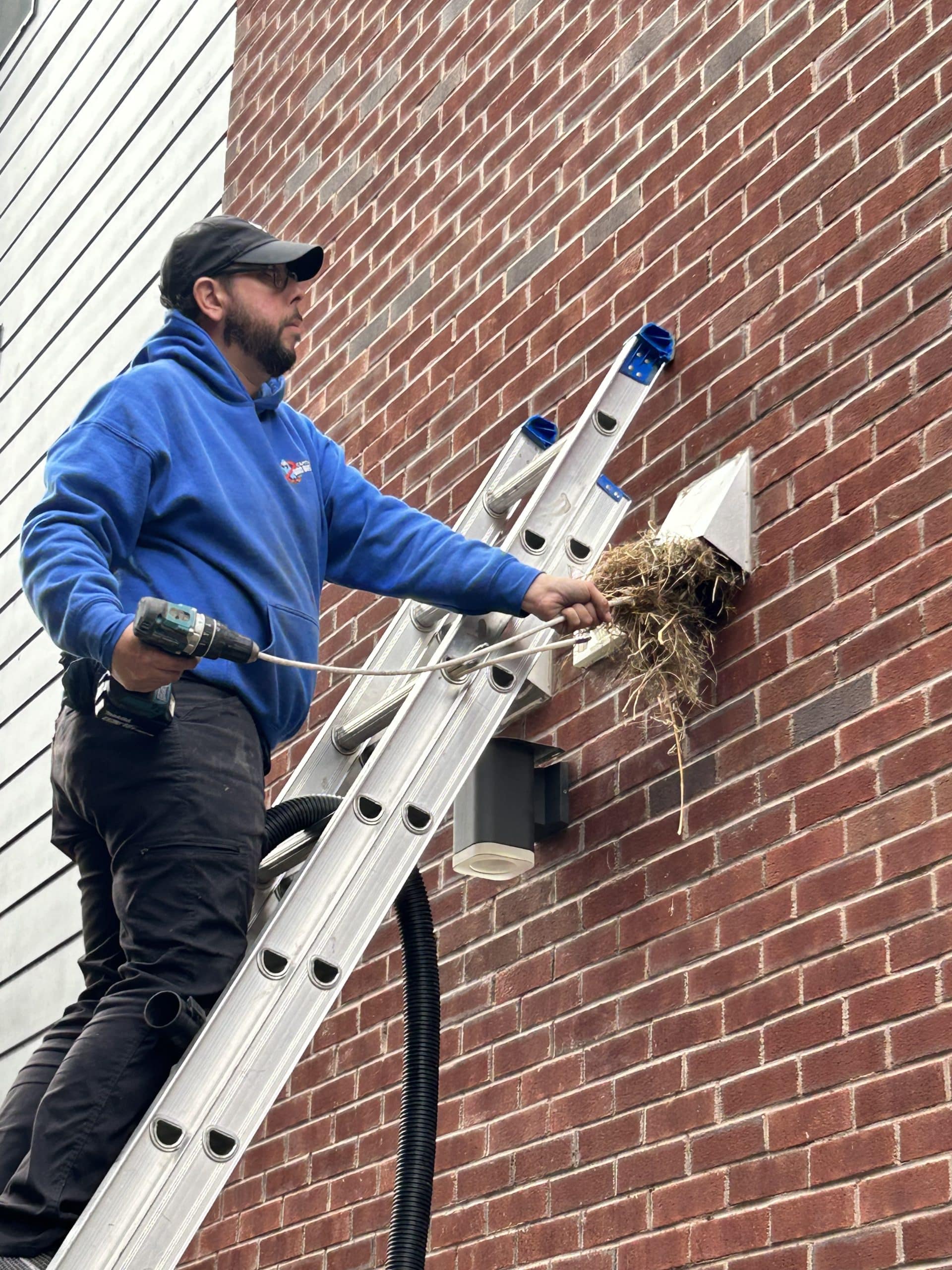 Bird Removal Pros - No More Dirty Birdies - Results Guaranteed